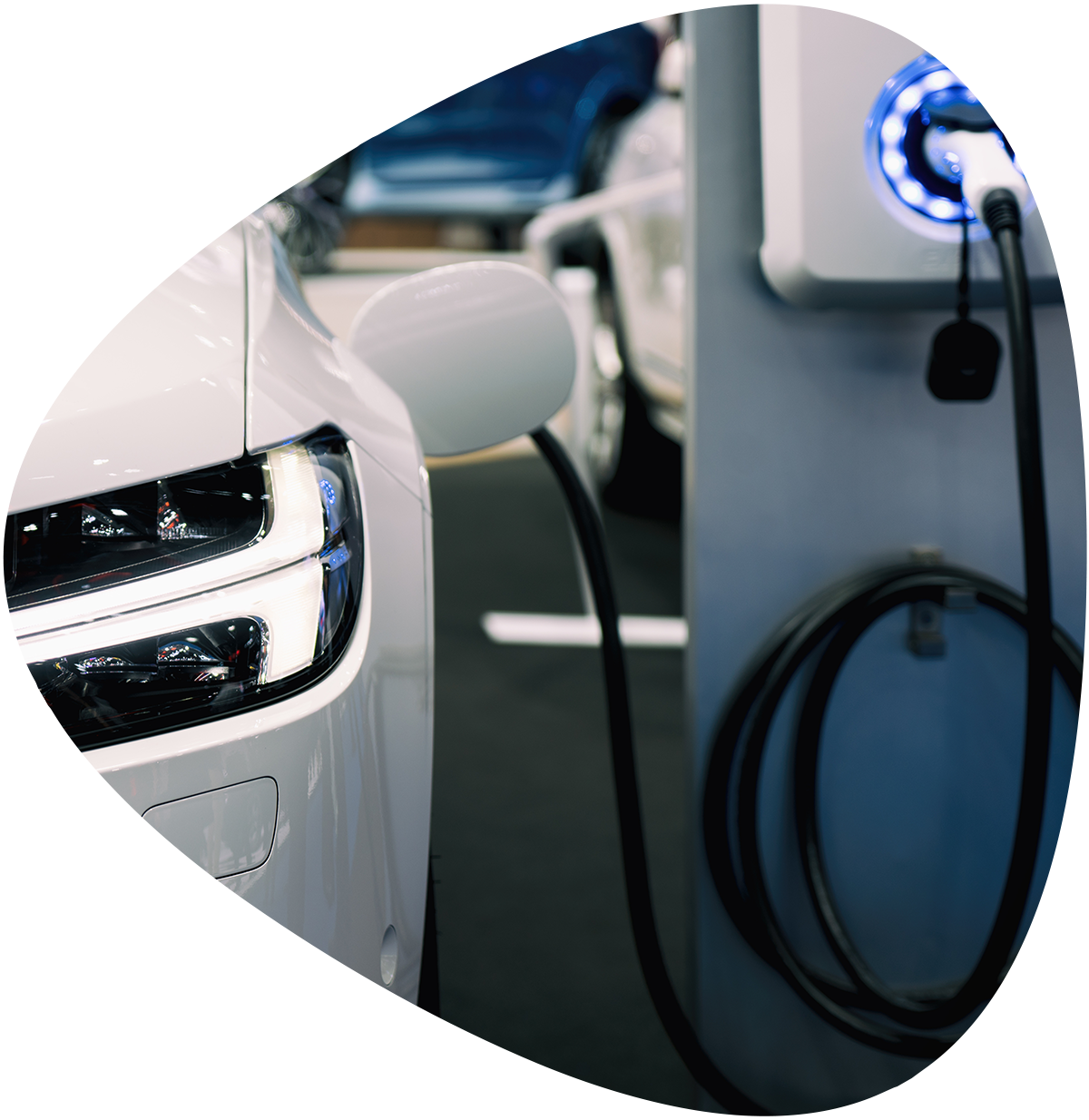 The Role of Independent Utility Networks | Independent Networks Association