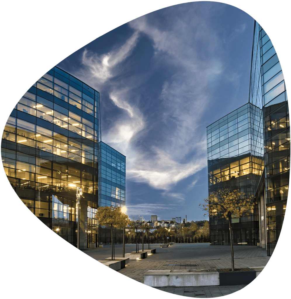 IDNOs, IGTs and NAVs | Independent Networks Association