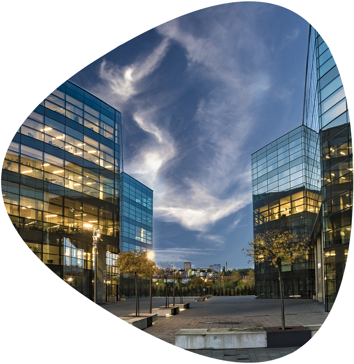 IDNOs, IGTs and NAVs | Independent Networks Association