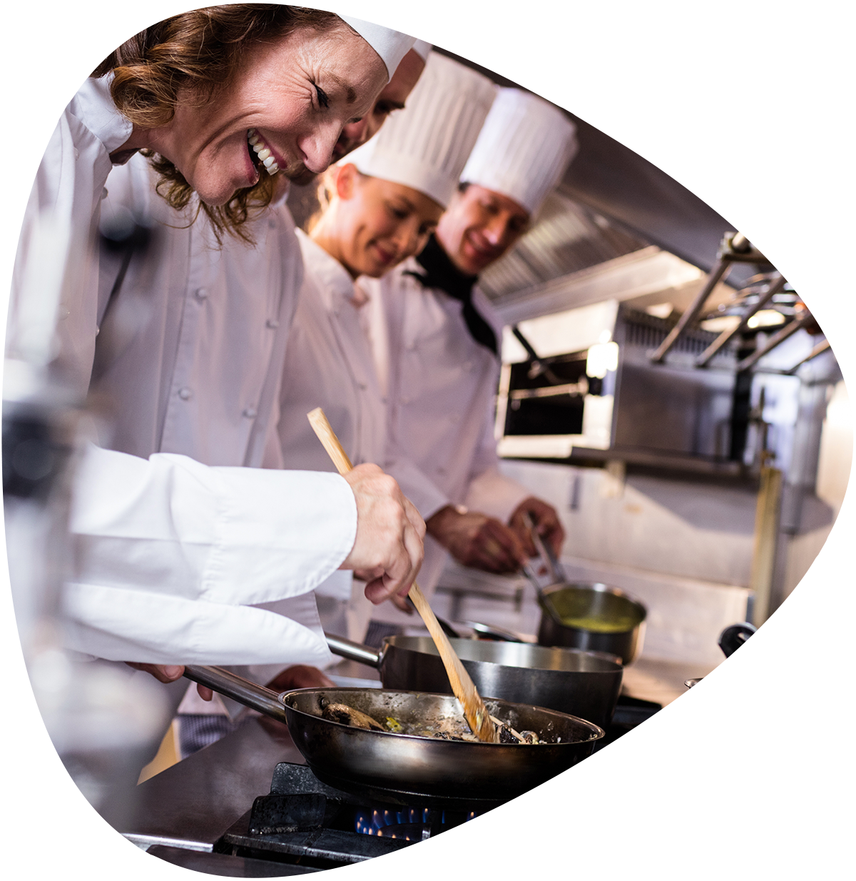 IDNOs, IGTs and NAVs | Independent Networks Association